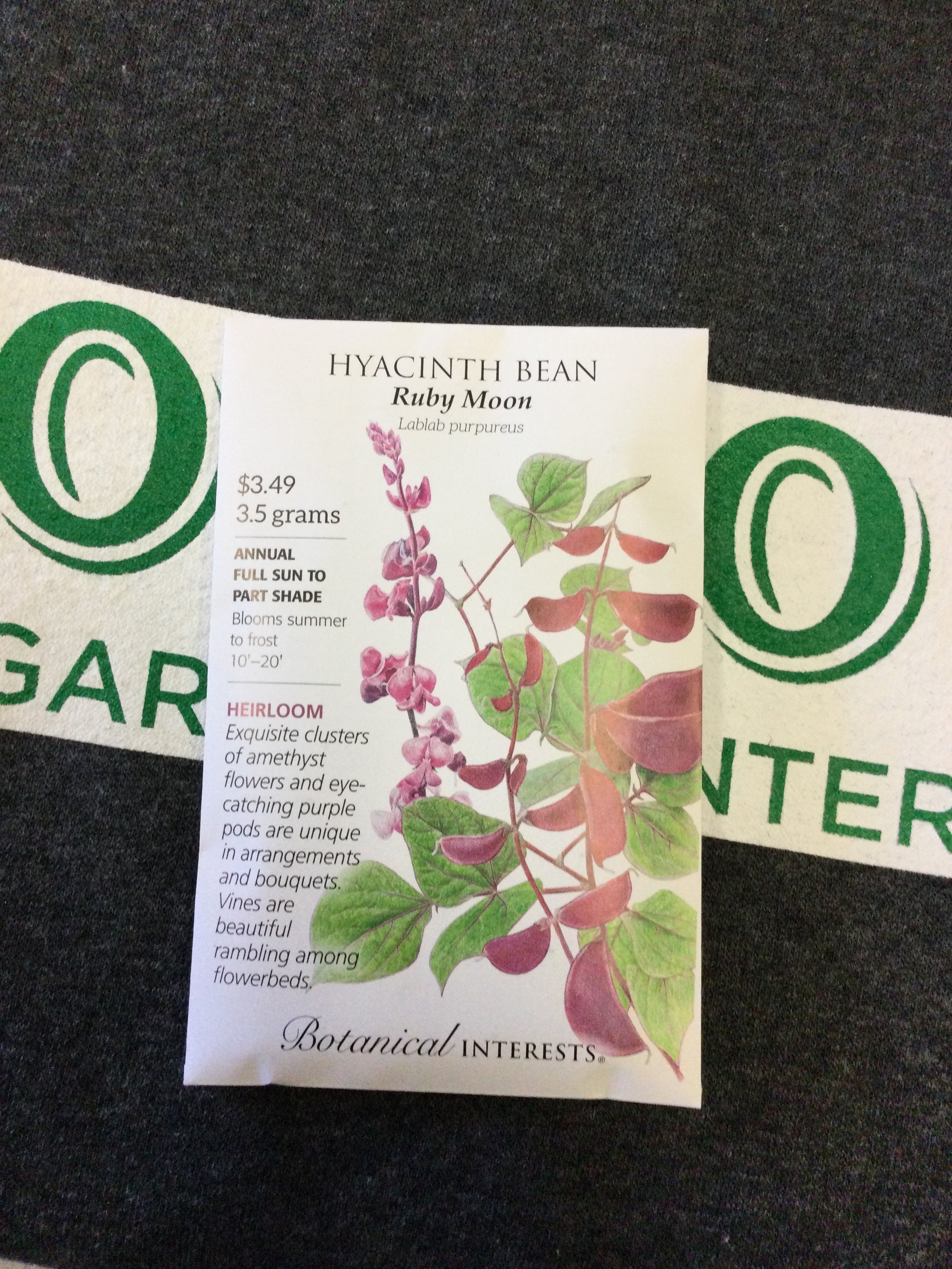 Hyacinth Bean Ruby Moon – Bosco's Garden Center