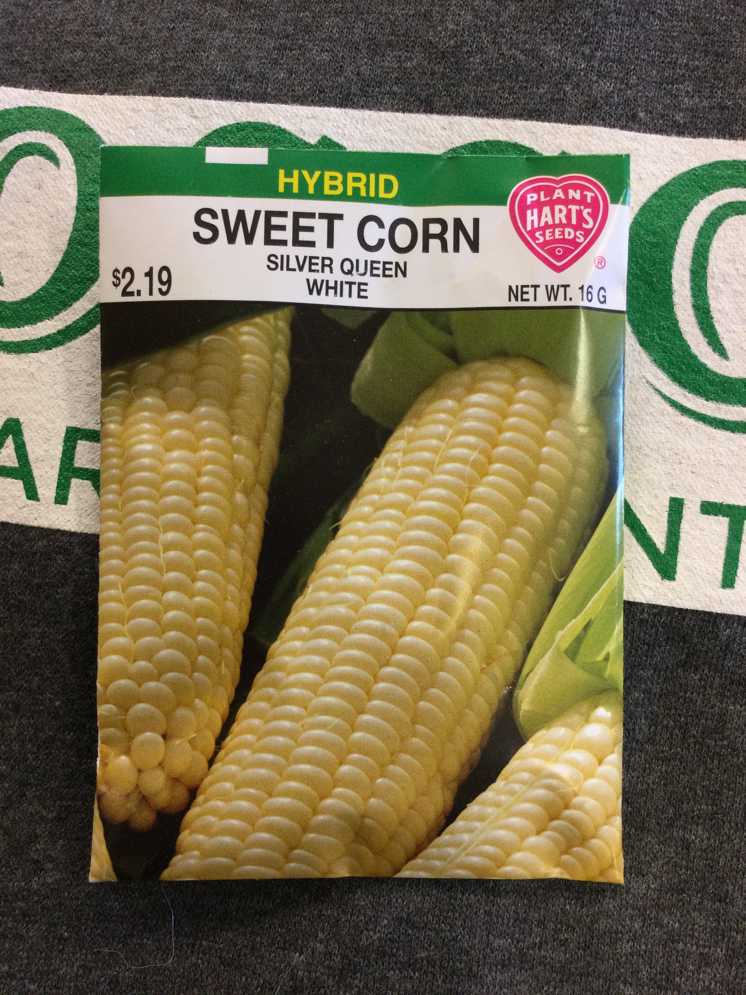 Corn Silver Queen- White – Bosco's Garden Center