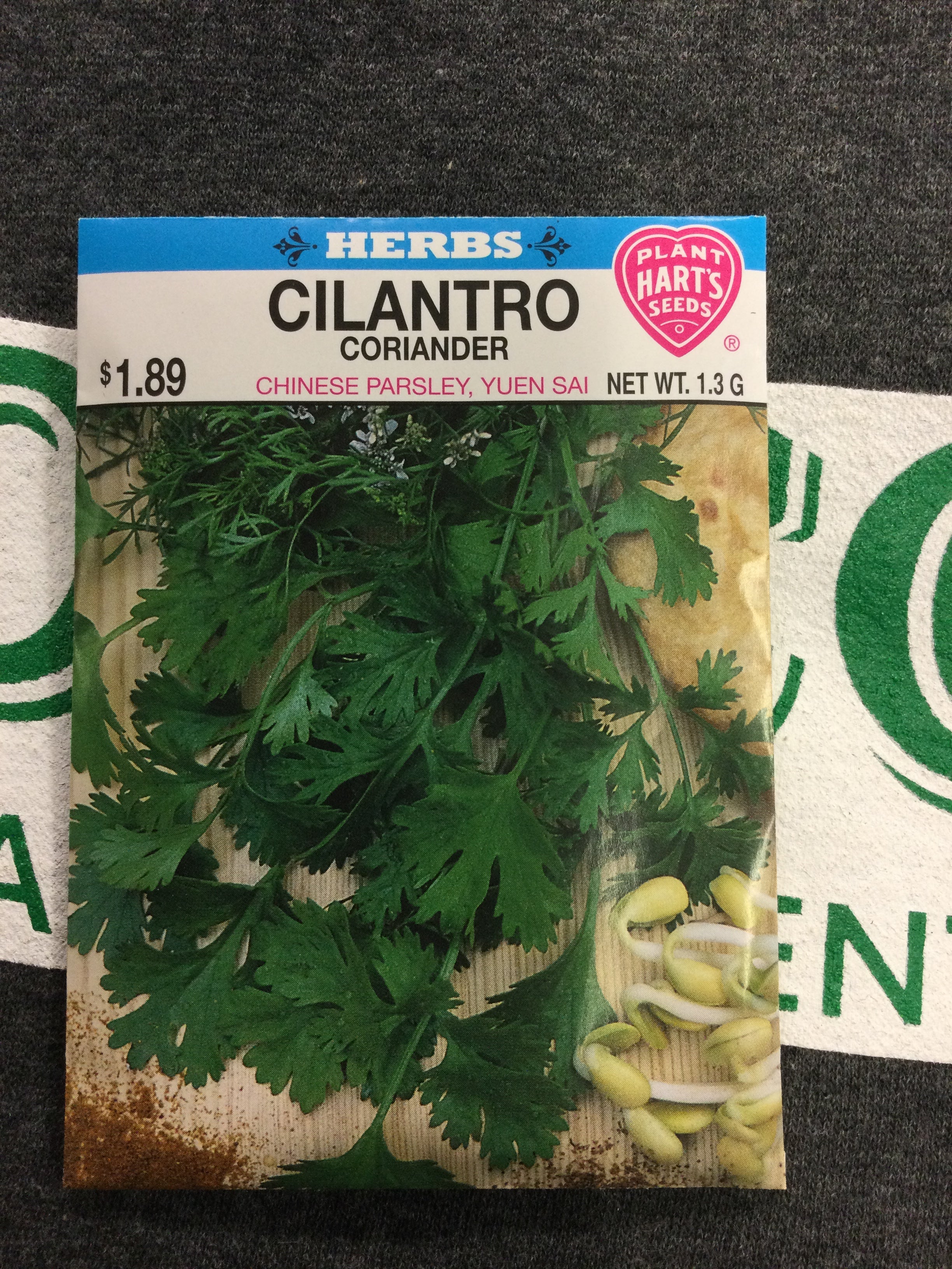 Herb Cilantro – Bosco's Garden Center