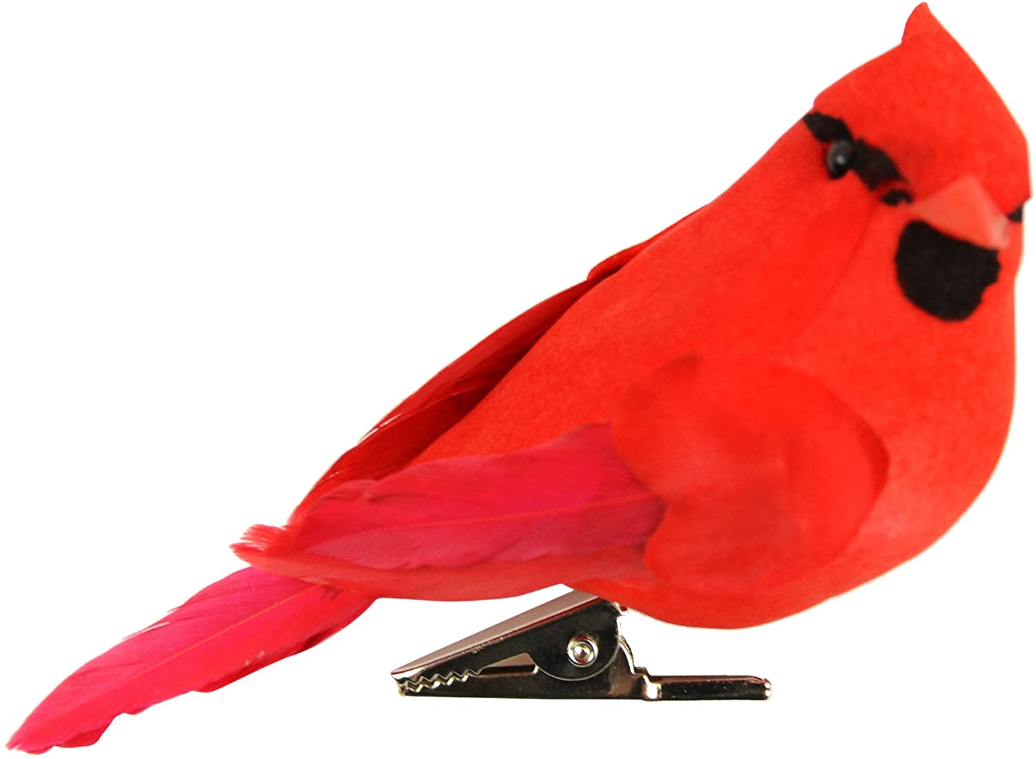 cardinal 3 in clip – Bosco's Garden Center